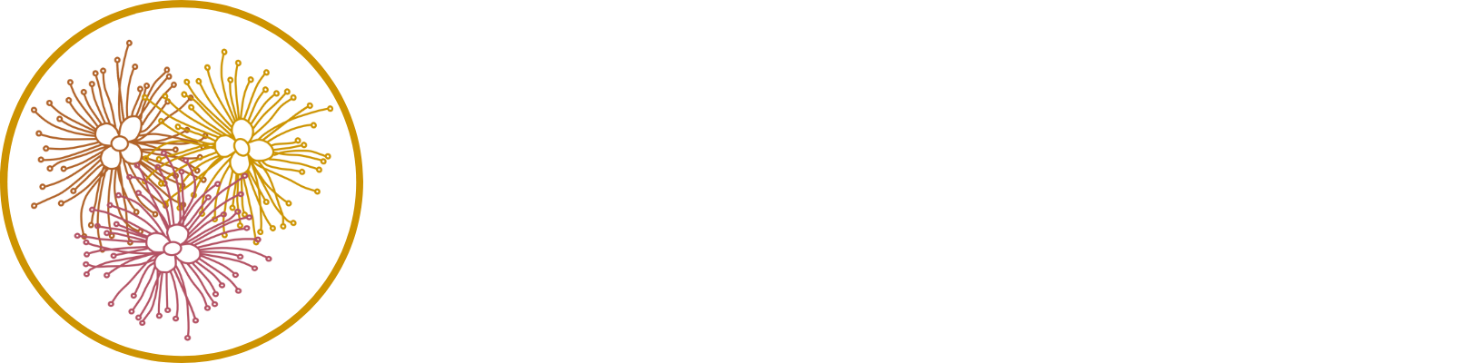 Home - Lilly Pilly Counselling